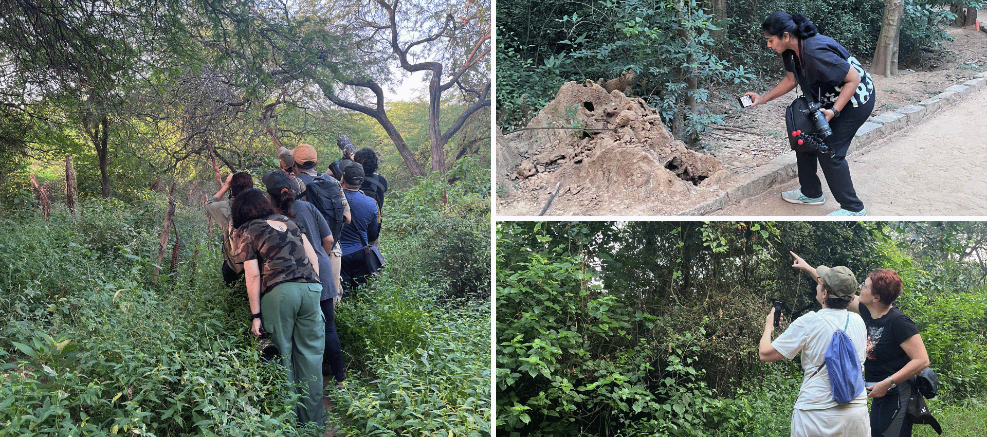 Nature walk at Sanjay Van Trip Report | Delhi Earth Walk