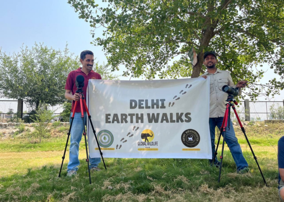 Earth Walks In Surajpur Bird Sanctuary | Delhi Earth Walk